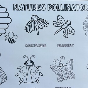 Coloring Placemat for Kids Natures Pollinators Bug Ladybug Bumblebee ...