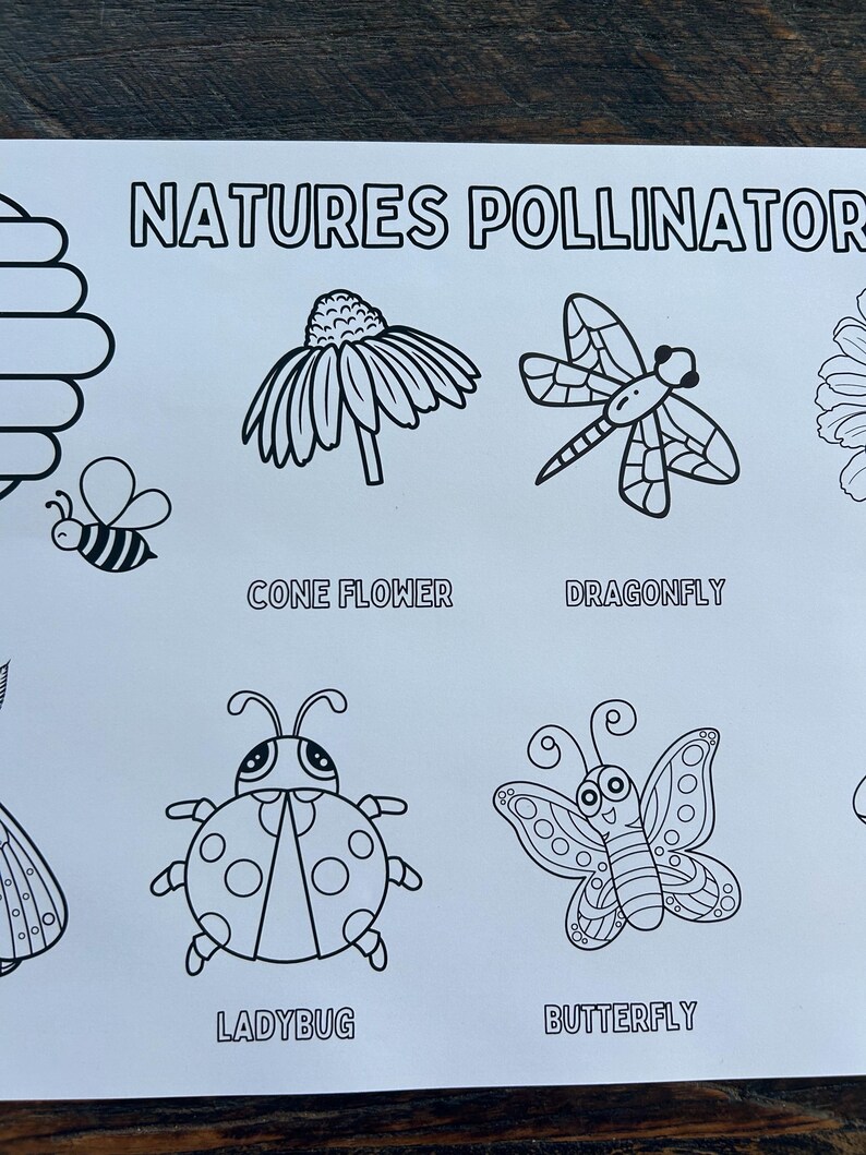Coloring Placemat for Kids Natures Pollinators Bug Ladybug Bumblebee ...