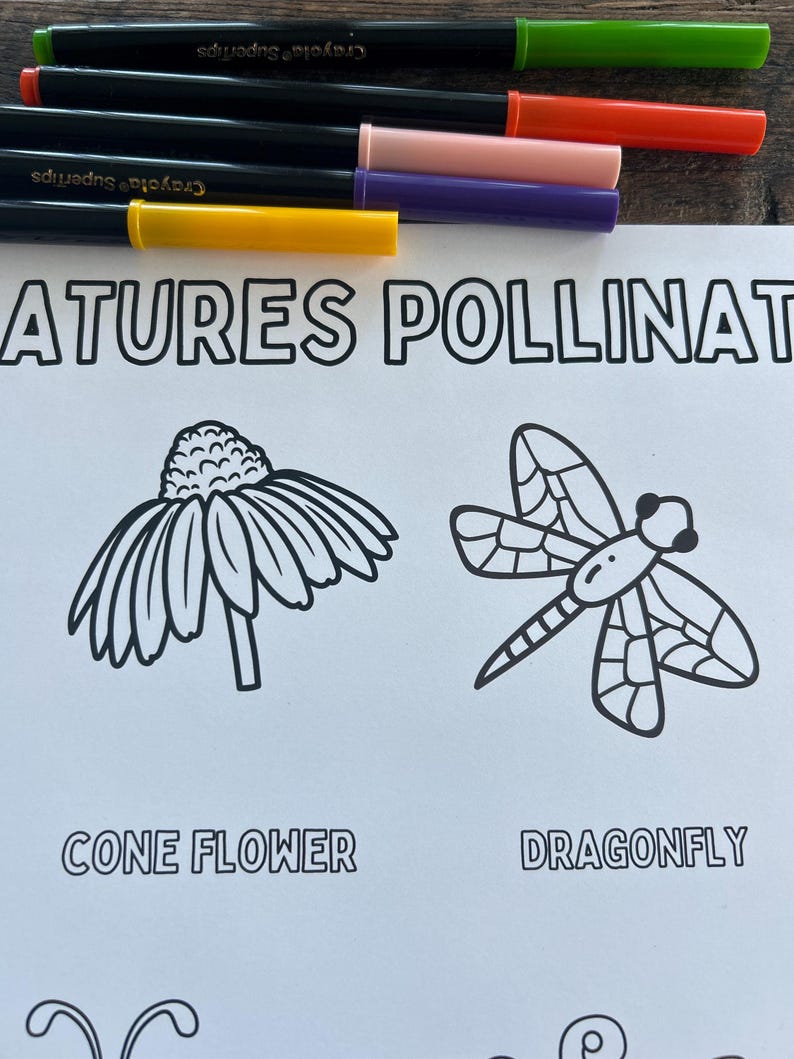 Coloring Placemat for Kids Natures Pollinators Bug Ladybug Bumblebee ...