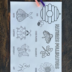 Coloring Placemat for Kids Natures Pollinators Bug Ladybug Bumblebee ...