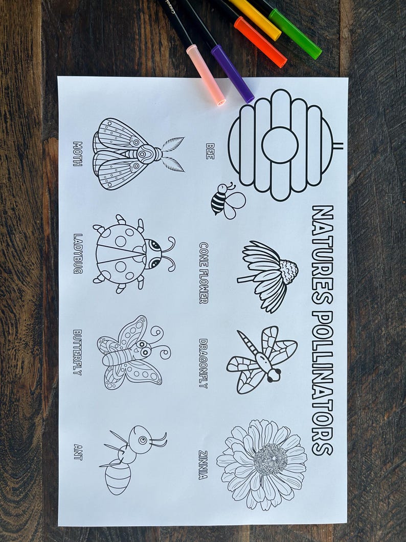 Coloring Placemat for Kids Natures Pollinators Bug Ladybug Bumblebee ...