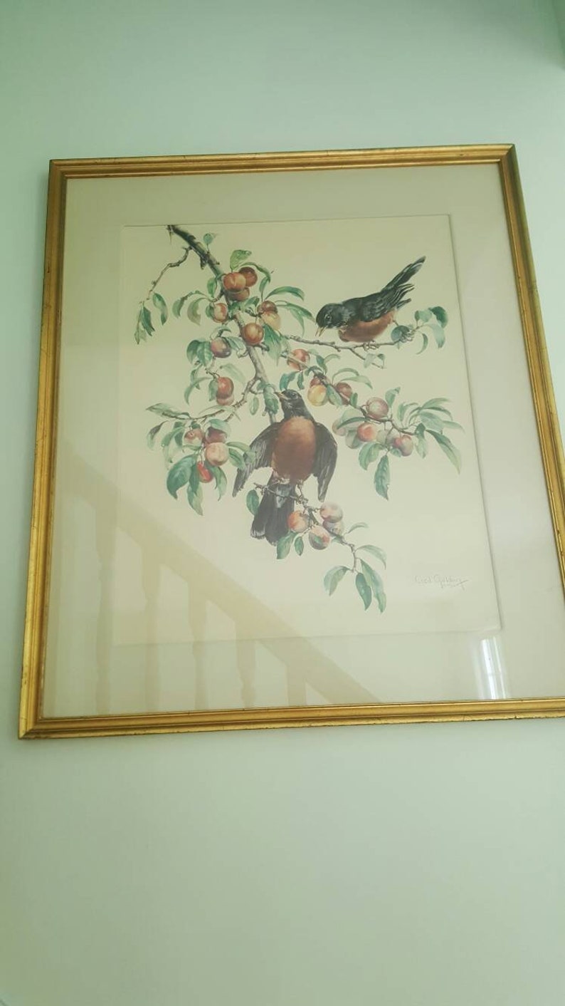 Huge Vintage Art 1940s 1950s Cecil Golding Bird Print - Etsy