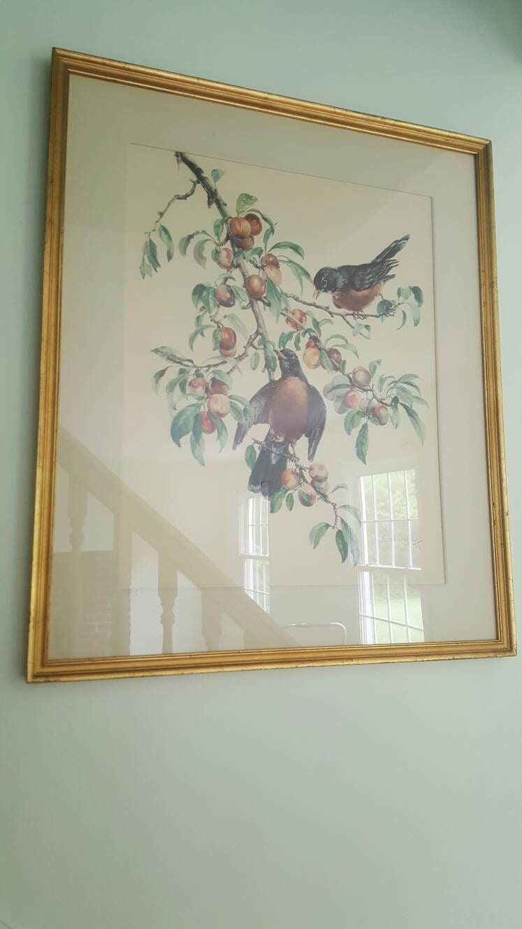 Huge Vintage Art 1940s 1950s Cecil Golding Bird Print - Etsy