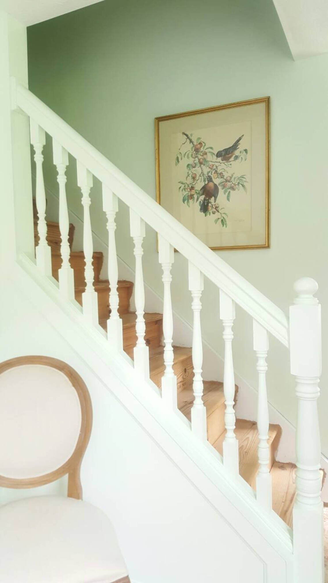 Huge Vintage Art 1940s 1950s Cecil Golding Bird Print - Etsy