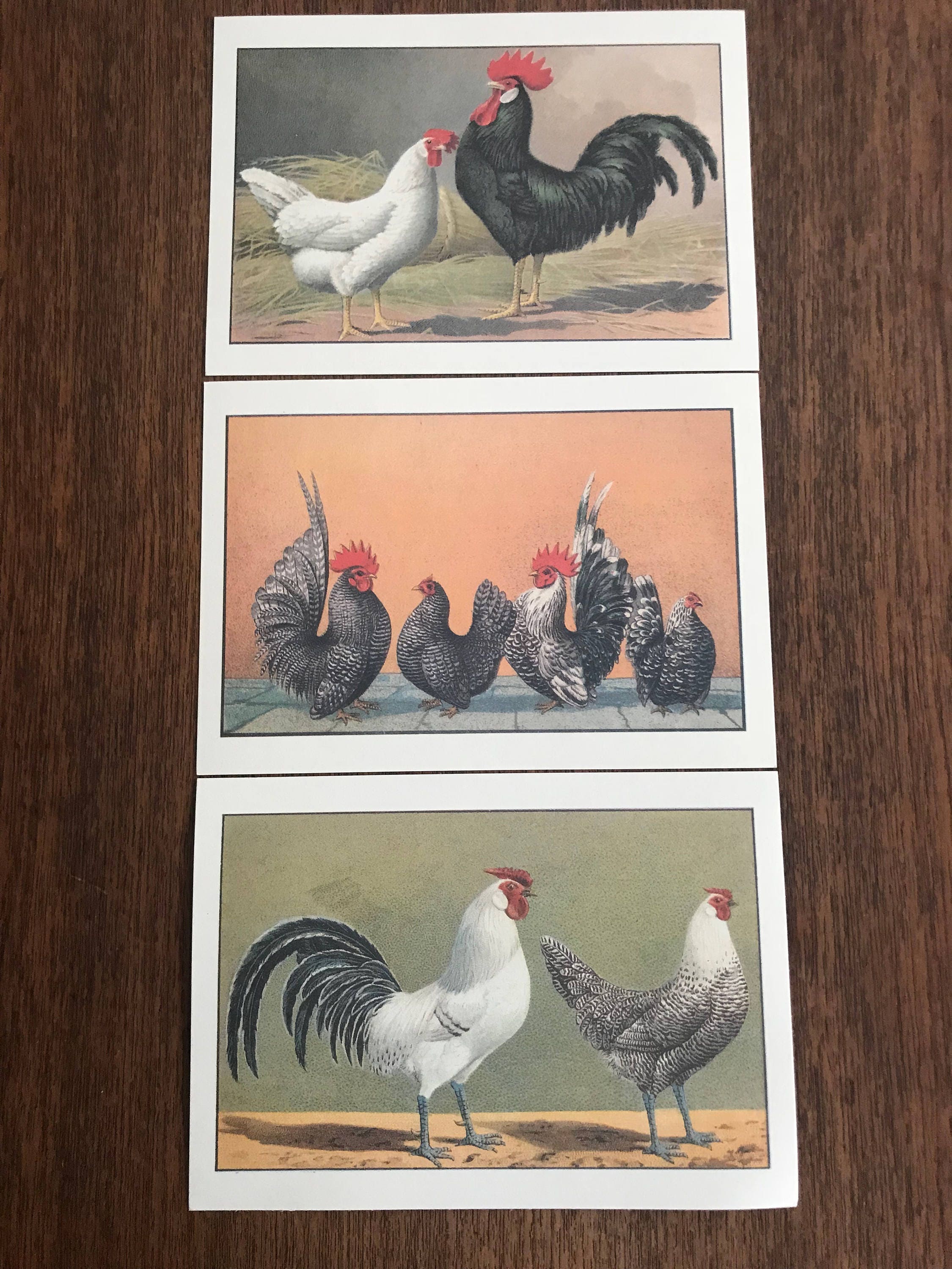 30 Postcards Chickens & Roosters Printed in Italy on cream - Etsy.de