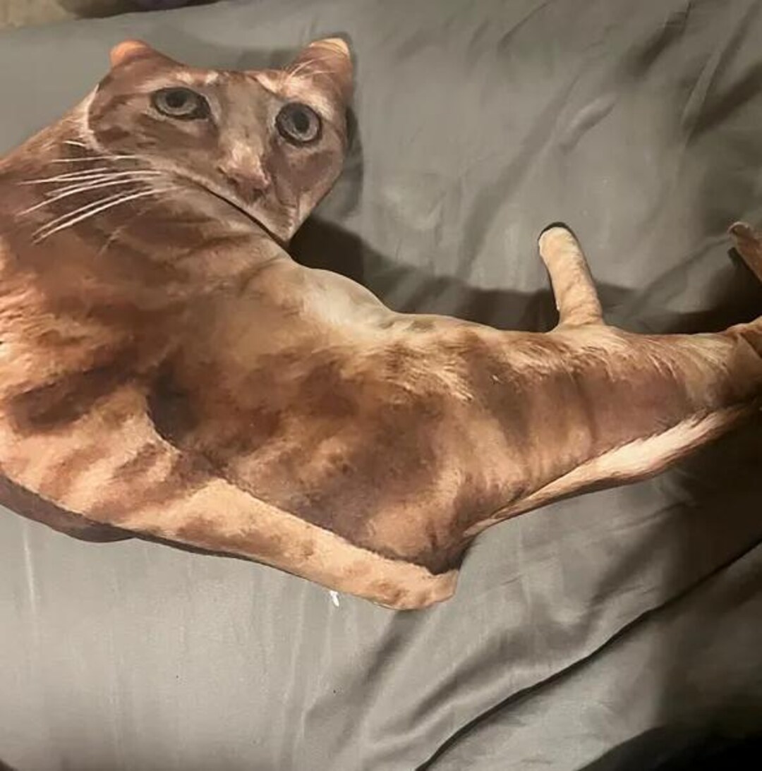 Hot Ugly Cat/dog Zany Pillow | Custom Pet 3D Shape Pillow ...