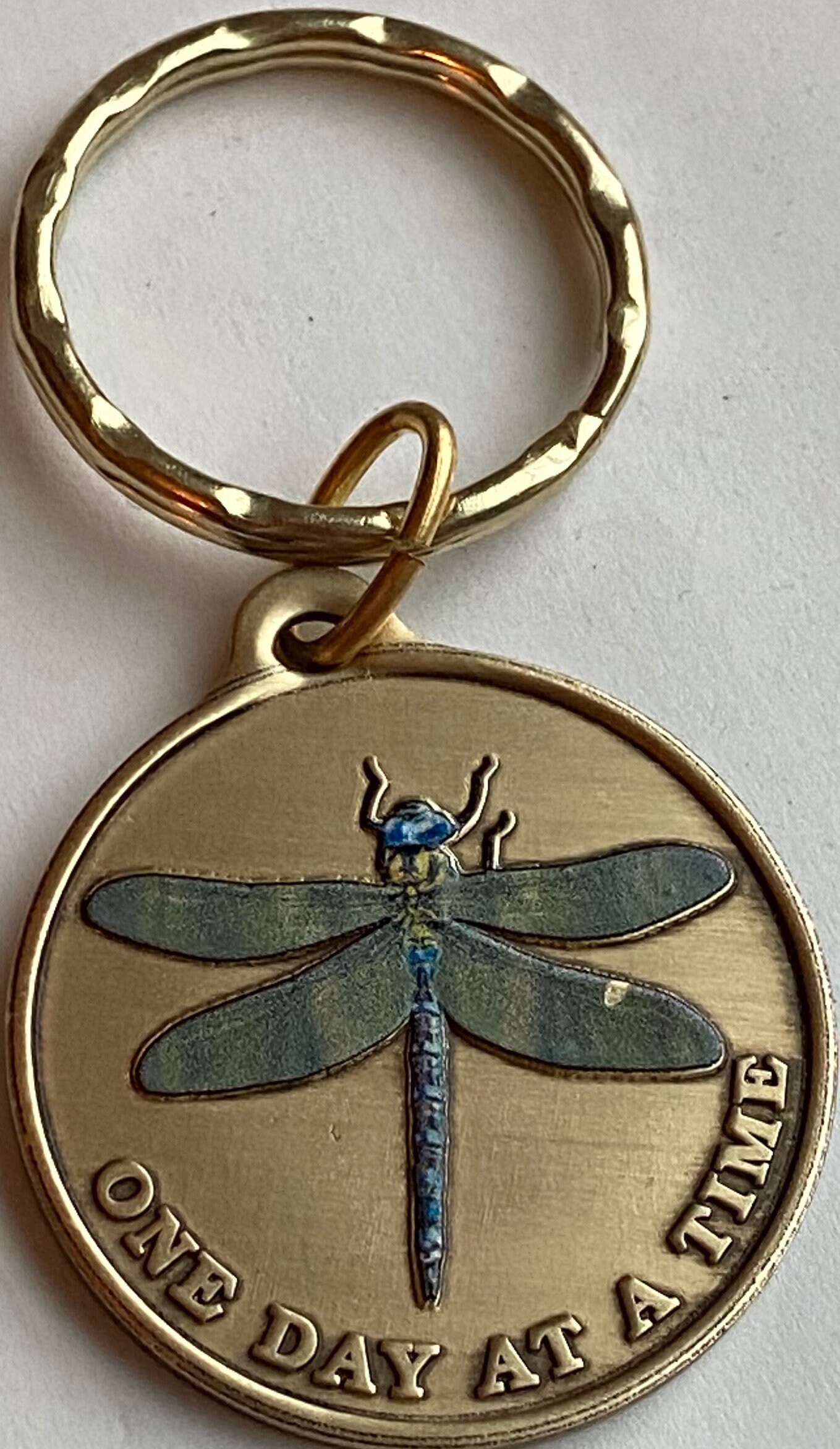 Green Color Dragonfly One Day at A Time Keychain With Serenity - Etsy