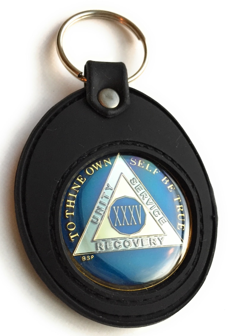 Universal AA or NA Medallion Coin Holder Keychain Black Soft - Etsy