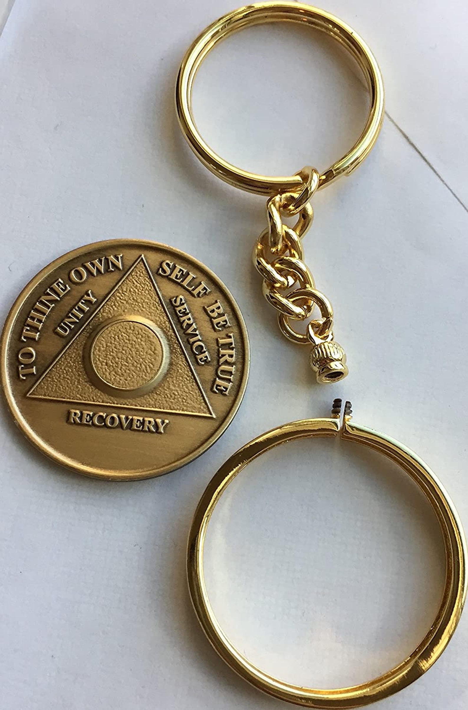 AA Medallion Keychain Chip Holder Fits Wendells Sobriety Coins - Etsy