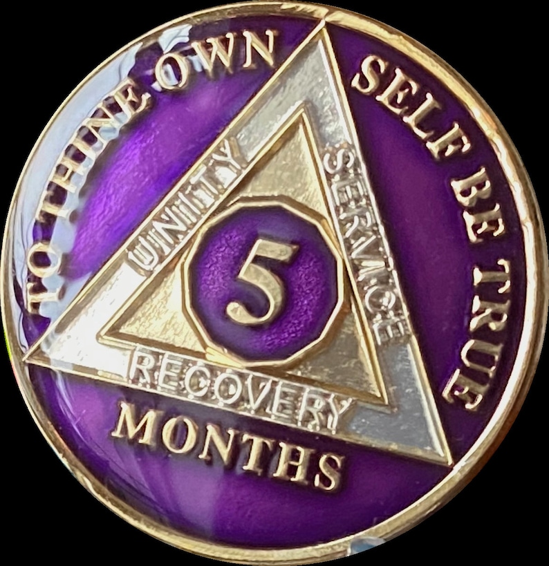 1 2 3 4 5 6 7 8 9 10 11 or 18 Month AA Medallion Metallic Purple Tri ...