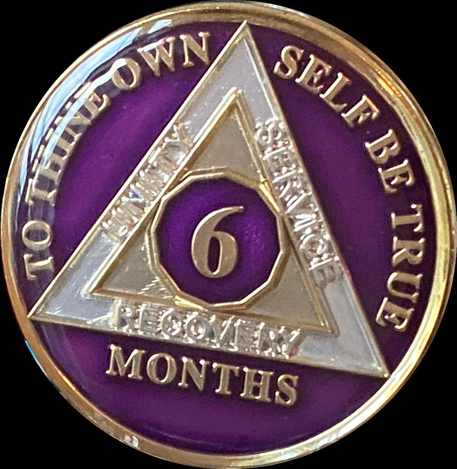 1 2 3 4 5 6 7 8 9 10 11 or 18 Month AA Medallion Metallic Purple Tri ...