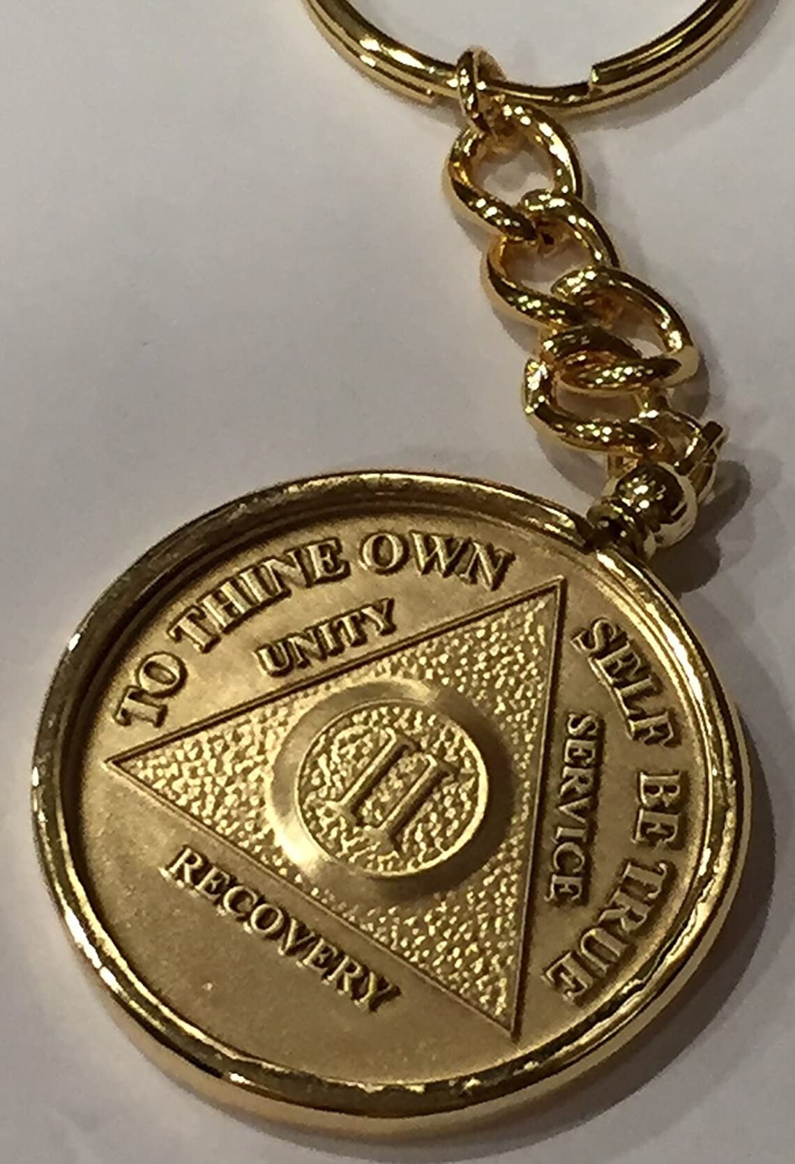 AA Medallion Keychain Chip Holder Fits Wendells Sobriety Coins | Etsy