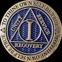 50 Year AA Medallion Premium Bronze Lion Back Sobriety Chip - Etsy