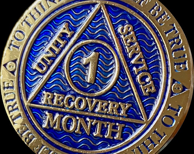 1 2 3 4 5 6 7 8 9 10 11 18 Month AA Medallion Reflex Blue Gold - Etsy