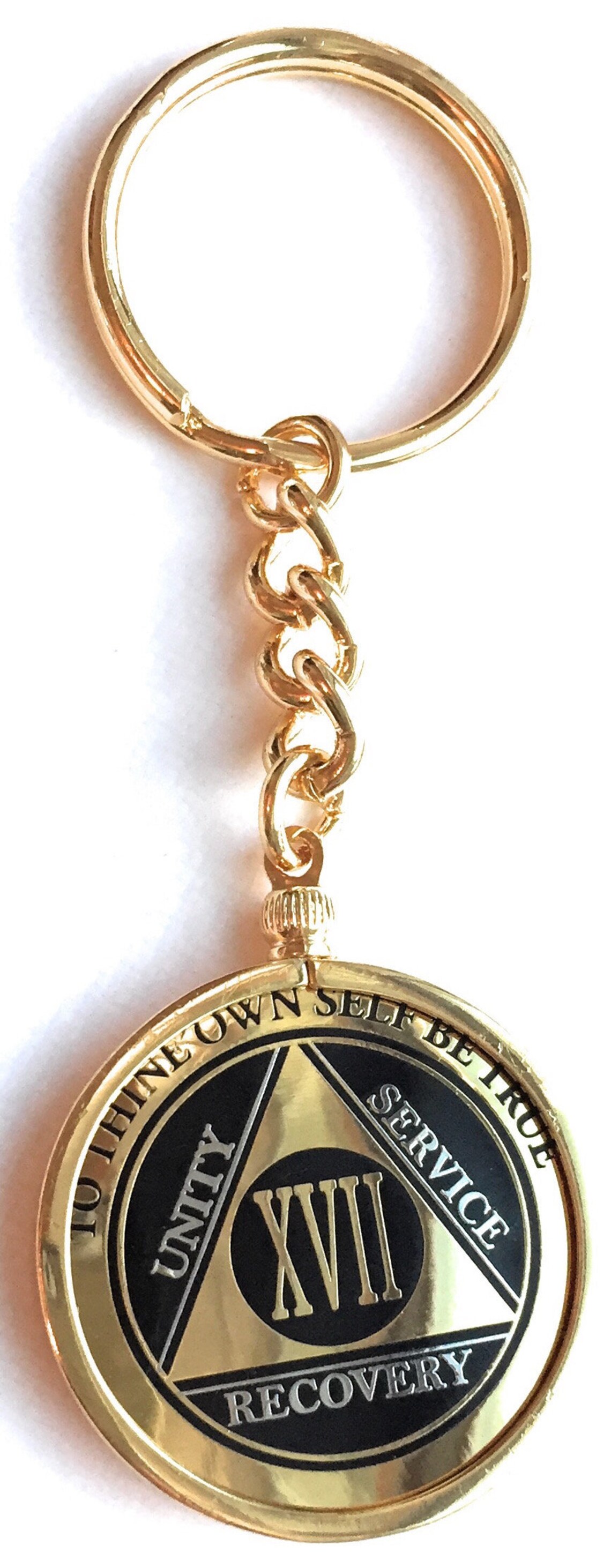 AA Medallion Keychain Chip Holder Fits 33x3mm Recoverychip Reflex ...