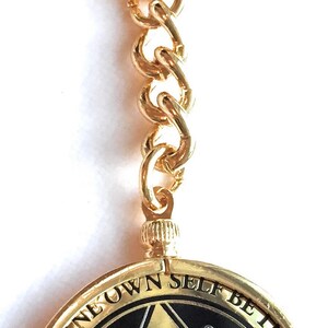 AA Medallion Keychain Chip Holder Fits 33x3mm Recoverychip Reflex ...