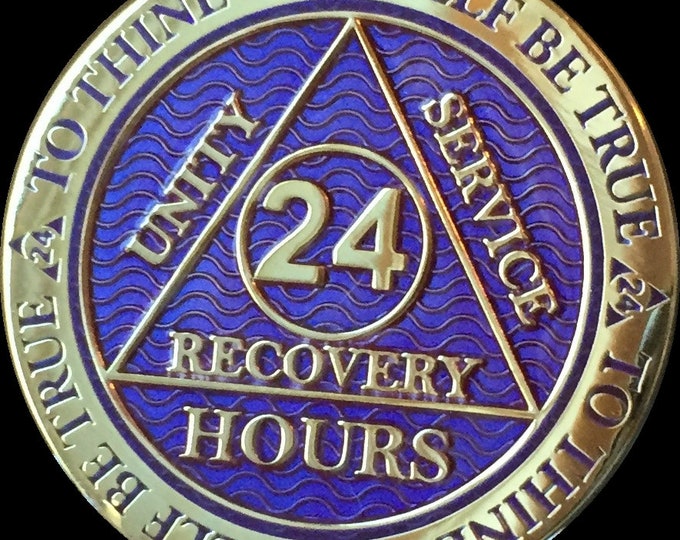 AA Medallion Keychain Chip Holder Fits Recoverychip Reflex and - Etsy