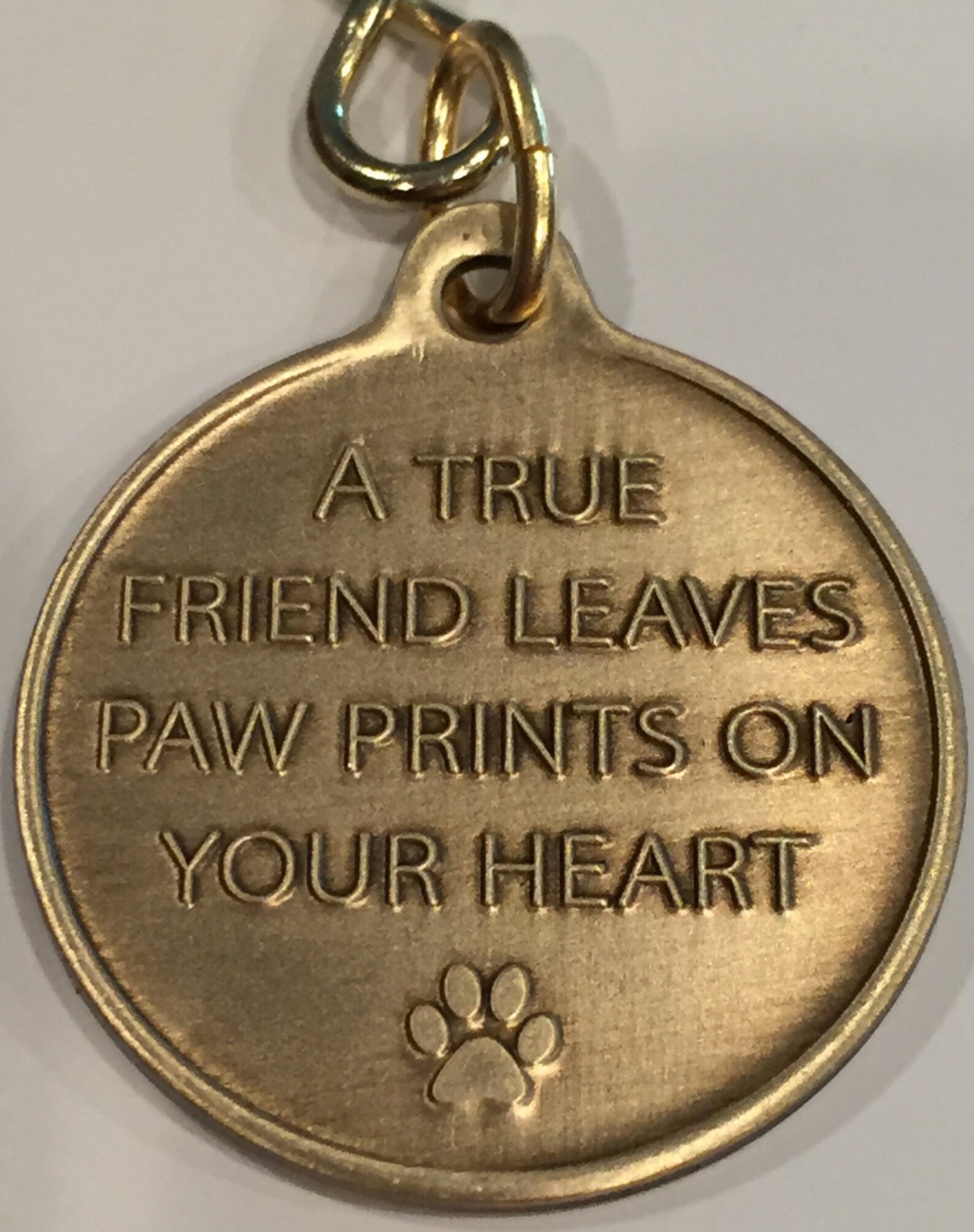 Always Remembered Forever Loved - A True Friend Dog Pet Memorial ...