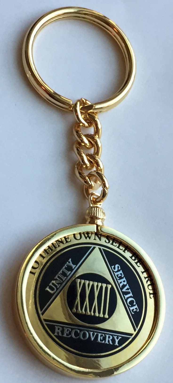 AA Medallion Keychain Chip Holder Fits Recoverychip Reflex and - Etsy