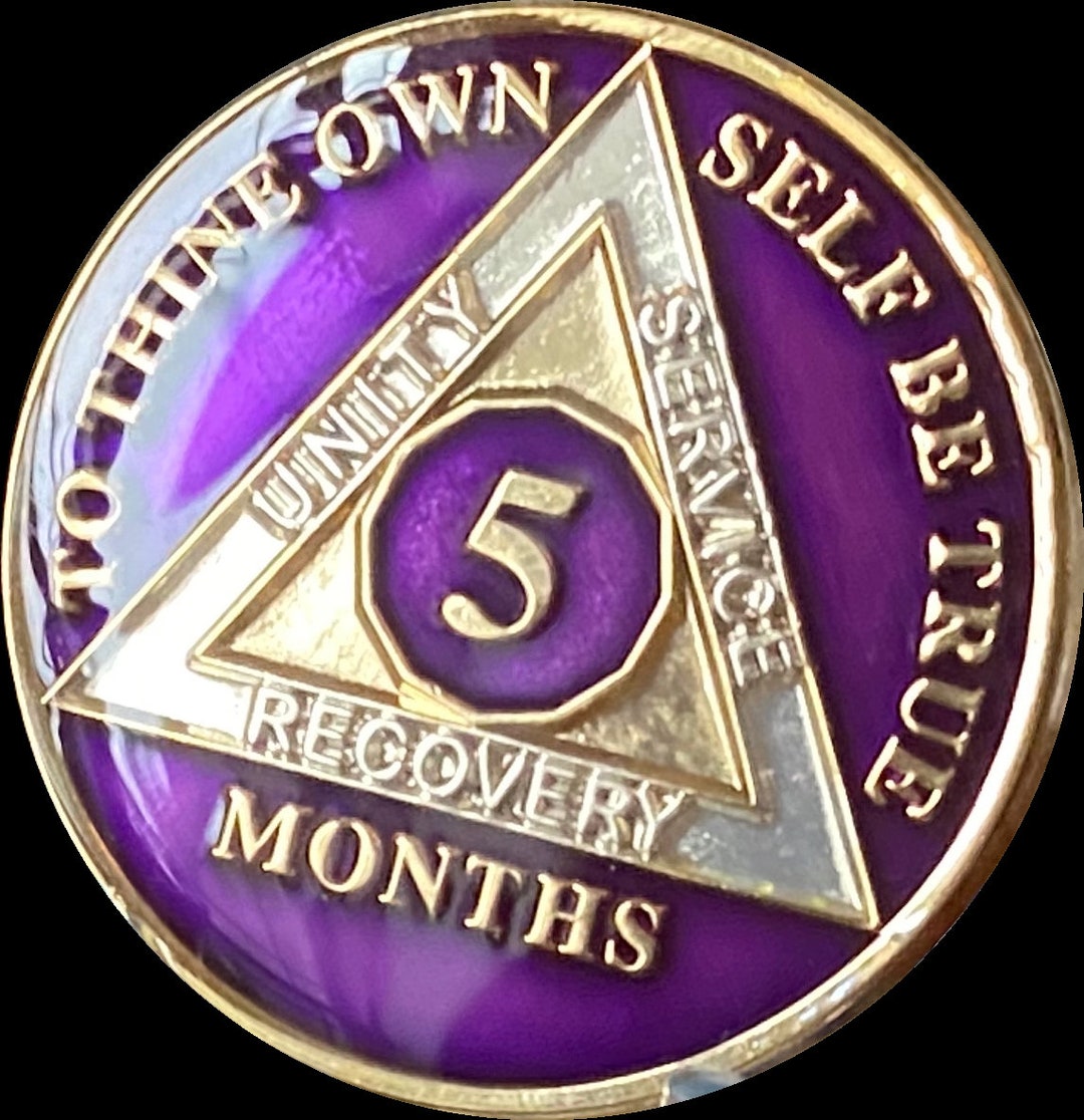 1 2 3 4 5 6 7 8 9 10 11 or 18 Month AA Medallion Metallic Purple Tri ...