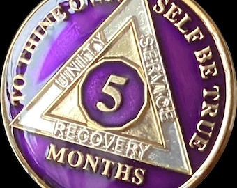 1 2 3 4 5 6 7 8 9 10 11 18 Month AA Medallion Reflex Dusty | Etsy