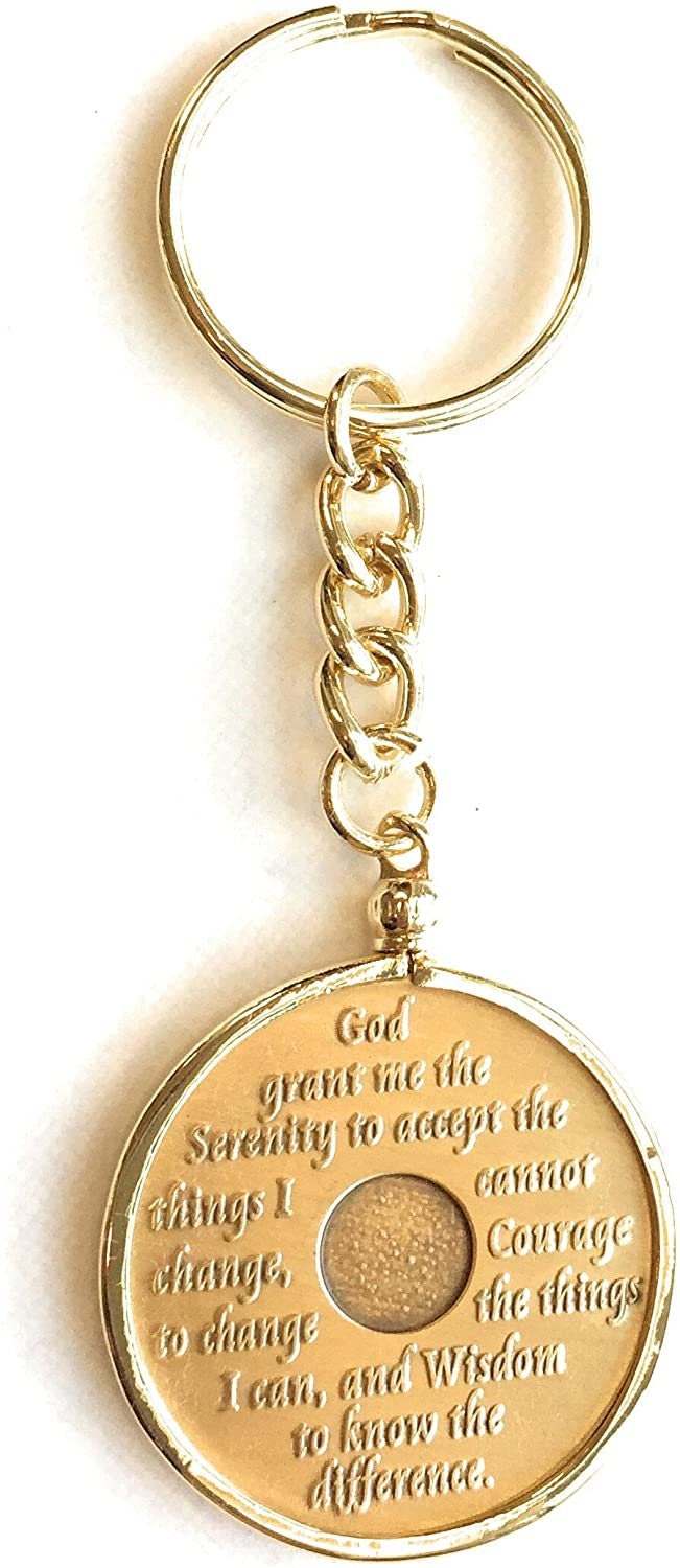 AA Medallion Keychain Chip Holder Fits Wendells Sobriety Coins - Etsy