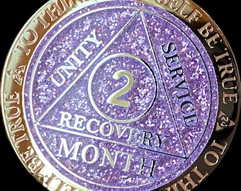 1 2 3 4 5 6 7 8 9 10 11 18 Month AA Medallion Reflex Dusty | Etsy