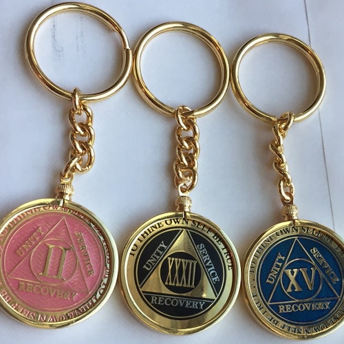 AA Medallion Keychain Chip Holder Fits Recoverychip Reflex and | Etsy