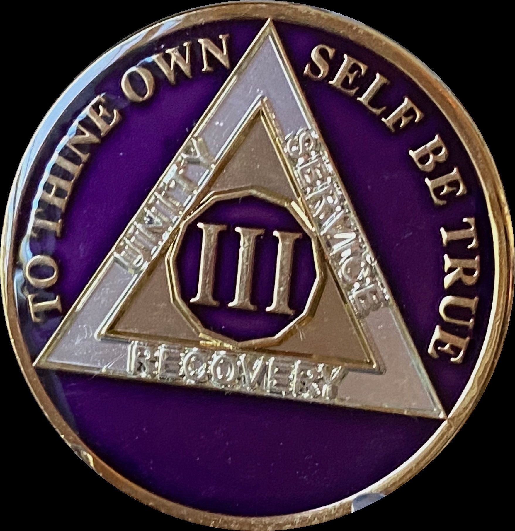 1 2 3 4 5 6 7 8 9 Or 10 Year AA Medallion Metallic Purple Etsy 1-2-3-4-5-6-7-8-9-or-10-year-aa-medallion-metallic-purple-etsy