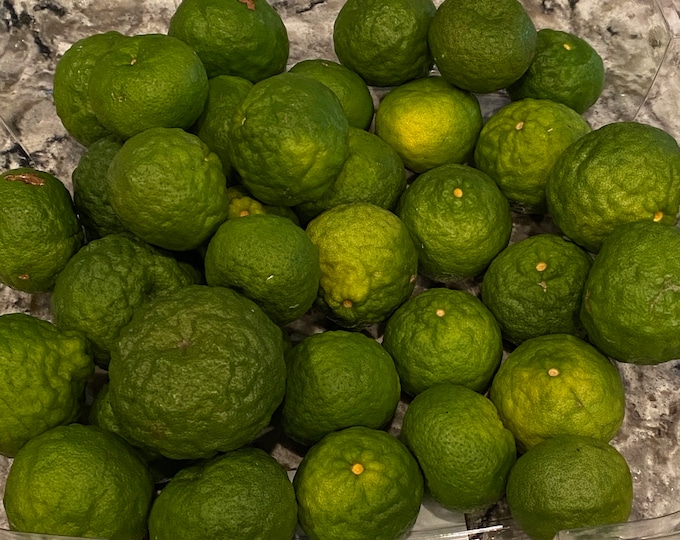 12 Kaffir Limes Approximately 1lb of Kaffir Lime Fruits Fresh Picked ...