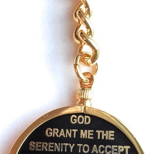 AA Medallion Keychain Chip Holder Fits 33x3mm Recoverychip Reflex ...