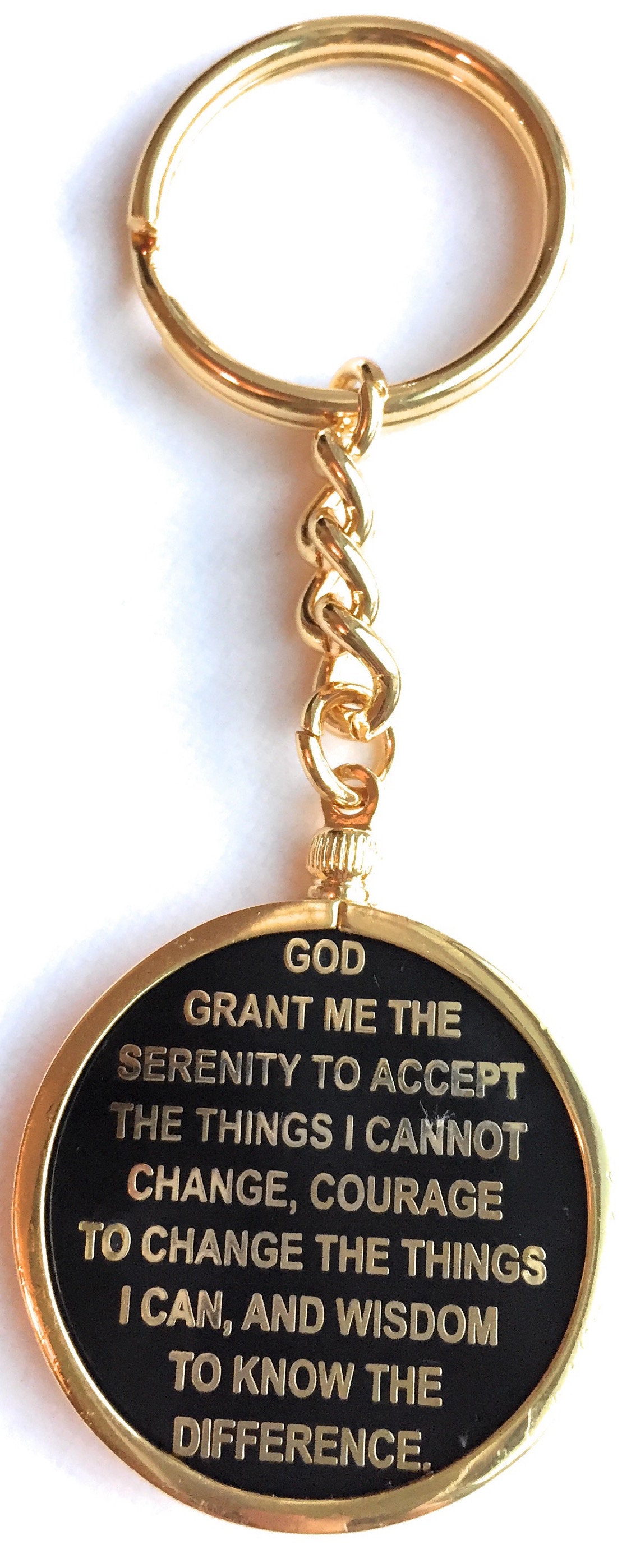 AA Medallion Keychain Chip Holder Fits 33x3mm Recoverychip Reflex ...