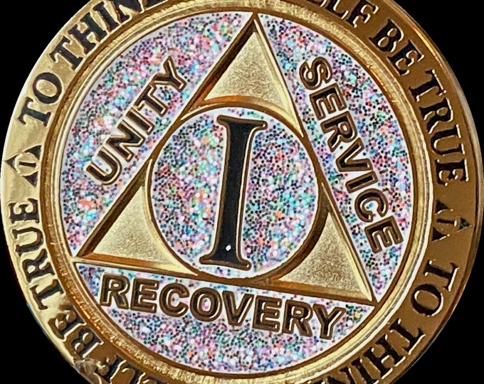 AA Medallion Keychain Chip Holder Fits Recoverychip Reflex and - Etsy