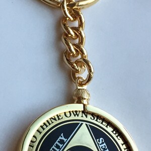 AA Medallion Keychain Chip Holder Fits 33x3mm Recoverychip Reflex ...