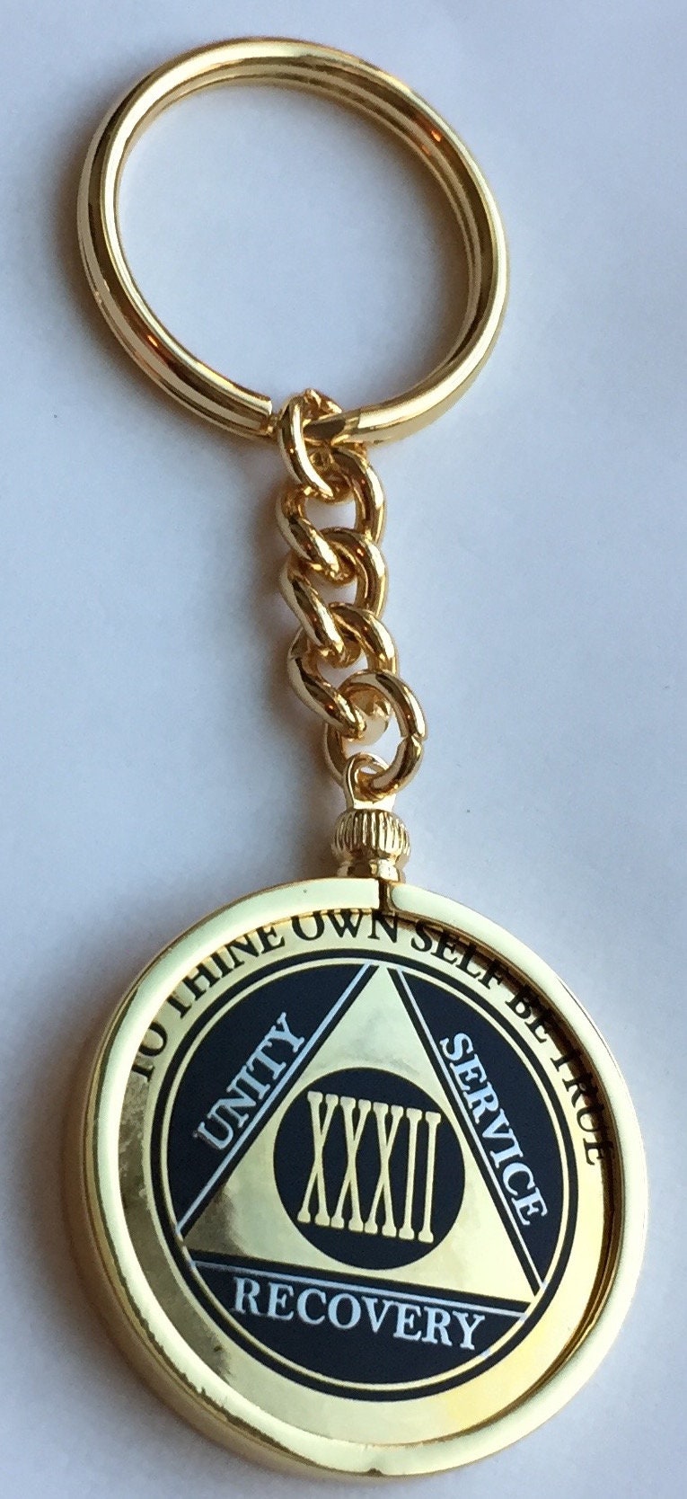 AA Medallion Keychain Chip Holder Fits Recoverychip Reflex and - Etsy