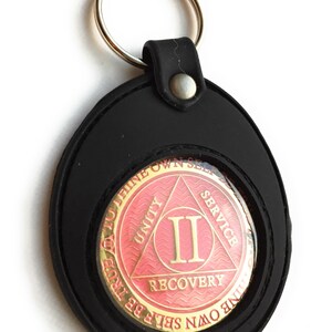 Universal AA or NA Medallion Coin Holder Keychain Black Soft Silicone ...