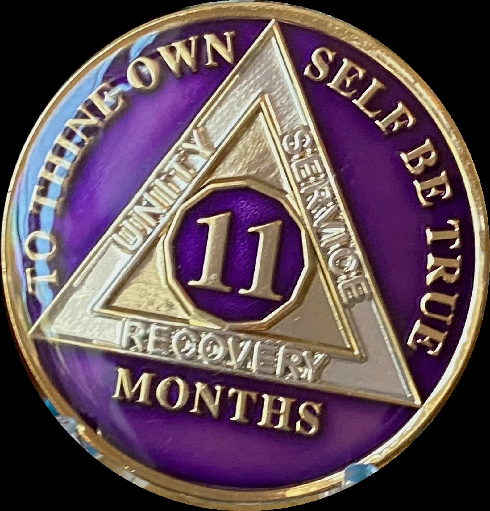 1 2 3 4 5 6 7 8 9 10 11 or 18 Month AA Medallion Metallic Purple Tri ...
