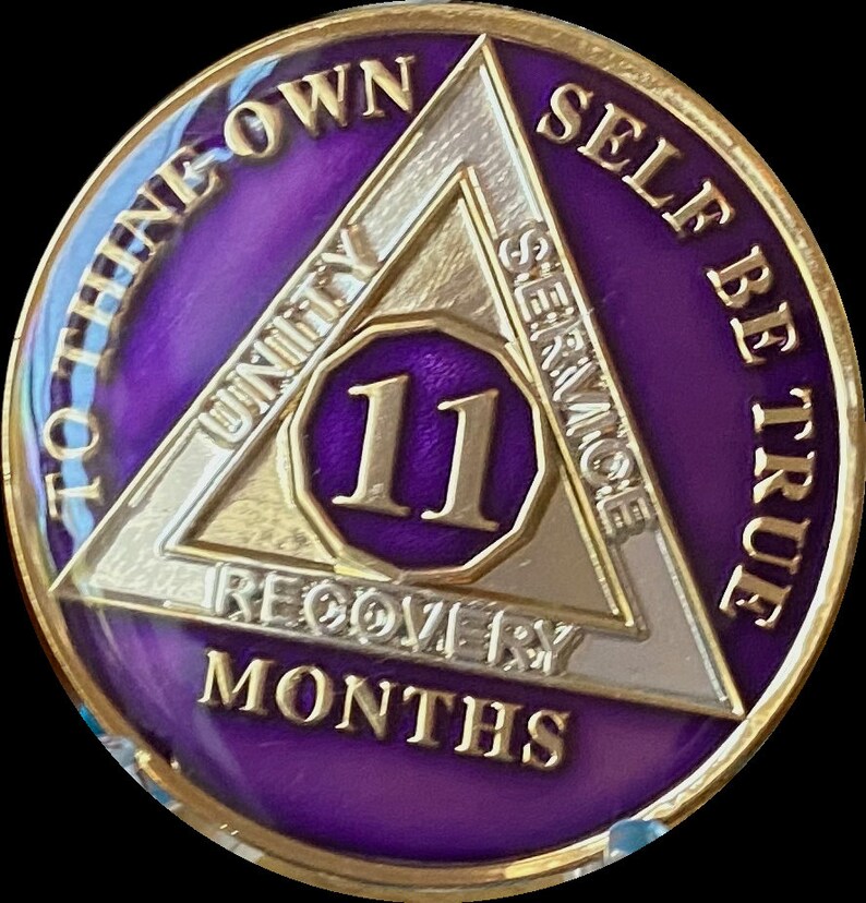 1 2 3 4 5 6 7 8 9 10 11 or 18 Month AA Medallion Metallic Purple Tri ...