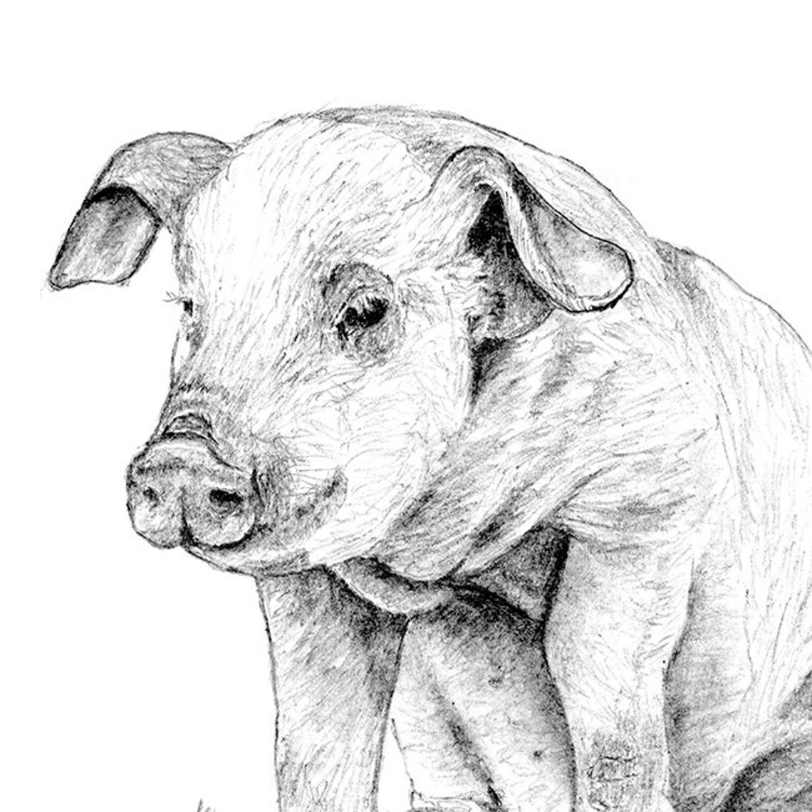 Pig Print | Fingerprint Balloons | Barnyard Party | Baby Shower ...