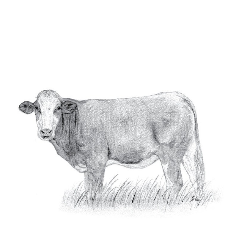 Cow Print | Fingerprint Balloon | Thumbprint Art | Party Craft | Farm ...