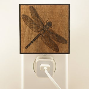 Dragonfly Night-light, Wall Art, Bug, Insect Lamp - Etsy