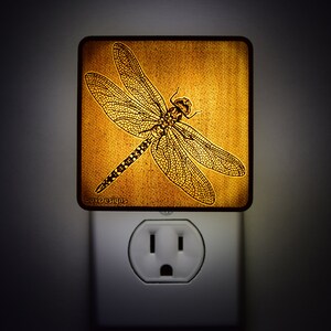 Dragonfly Night-light, Wall Art, Bug, Insect Lamp - Etsy