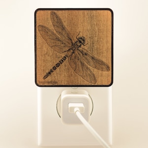 Dragonfly Night-light, Wall Art, Bug, Insect Lamp - Etsy