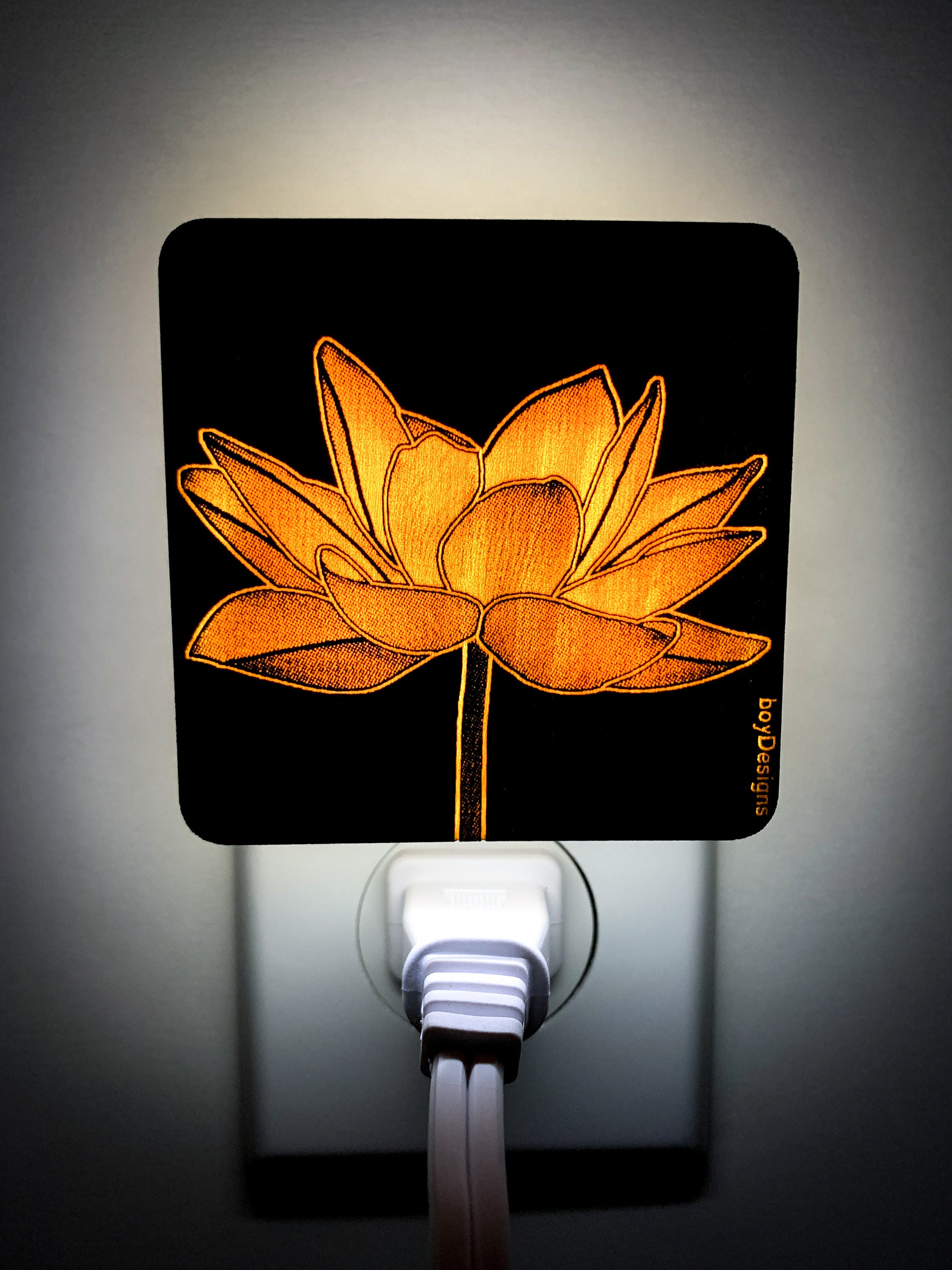 The Lotus night Light Lotus Flower Art Prints Lotus Seeds - Etsy