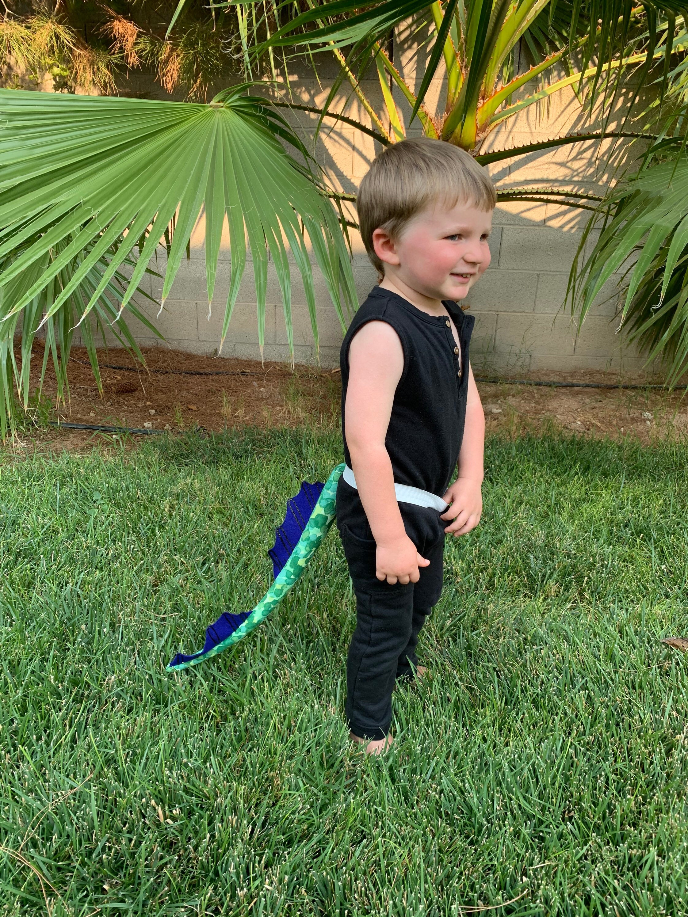 MINI Sea Monster Tail. Luca Alberto Tail With Fins. | Etsy