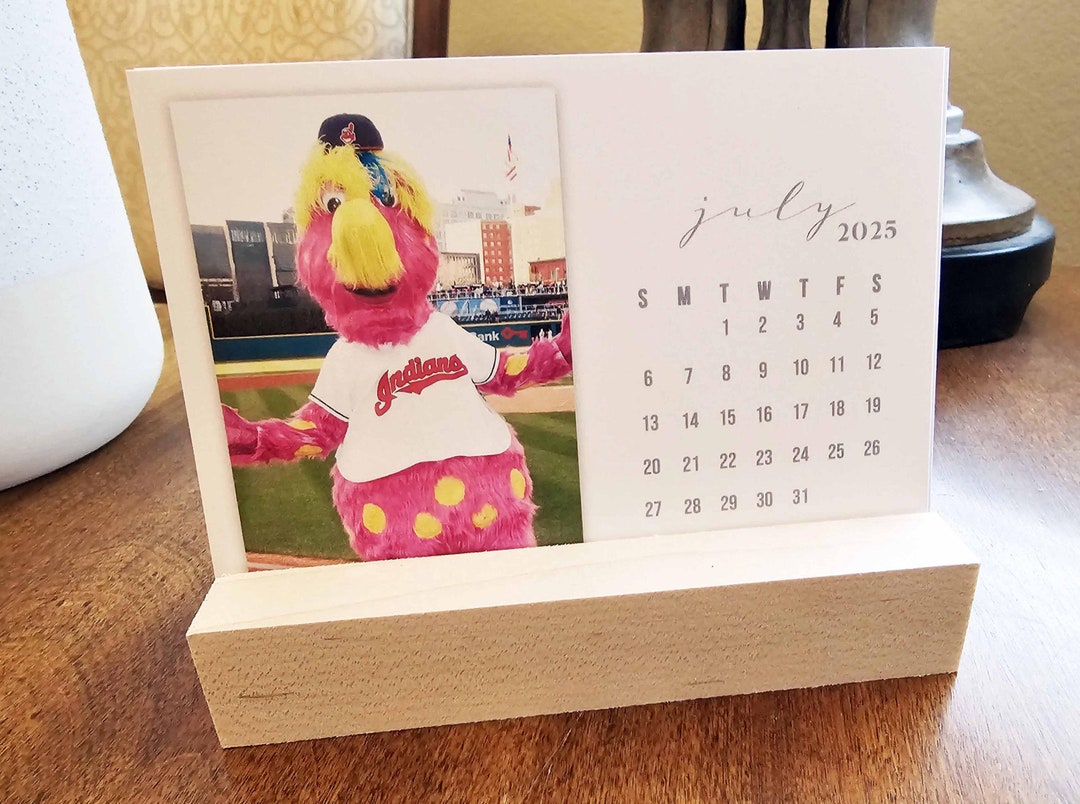 Sports Mascots Mini Desk Calendar 2025 | 2025 Calendar + Stand ...