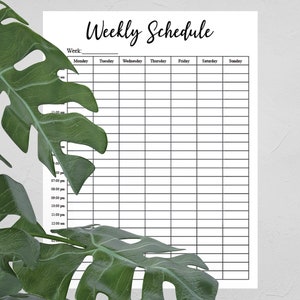 Printable Planner, 8 Weekly Planners,weekly Agenda, Weekly Schedule, to ...