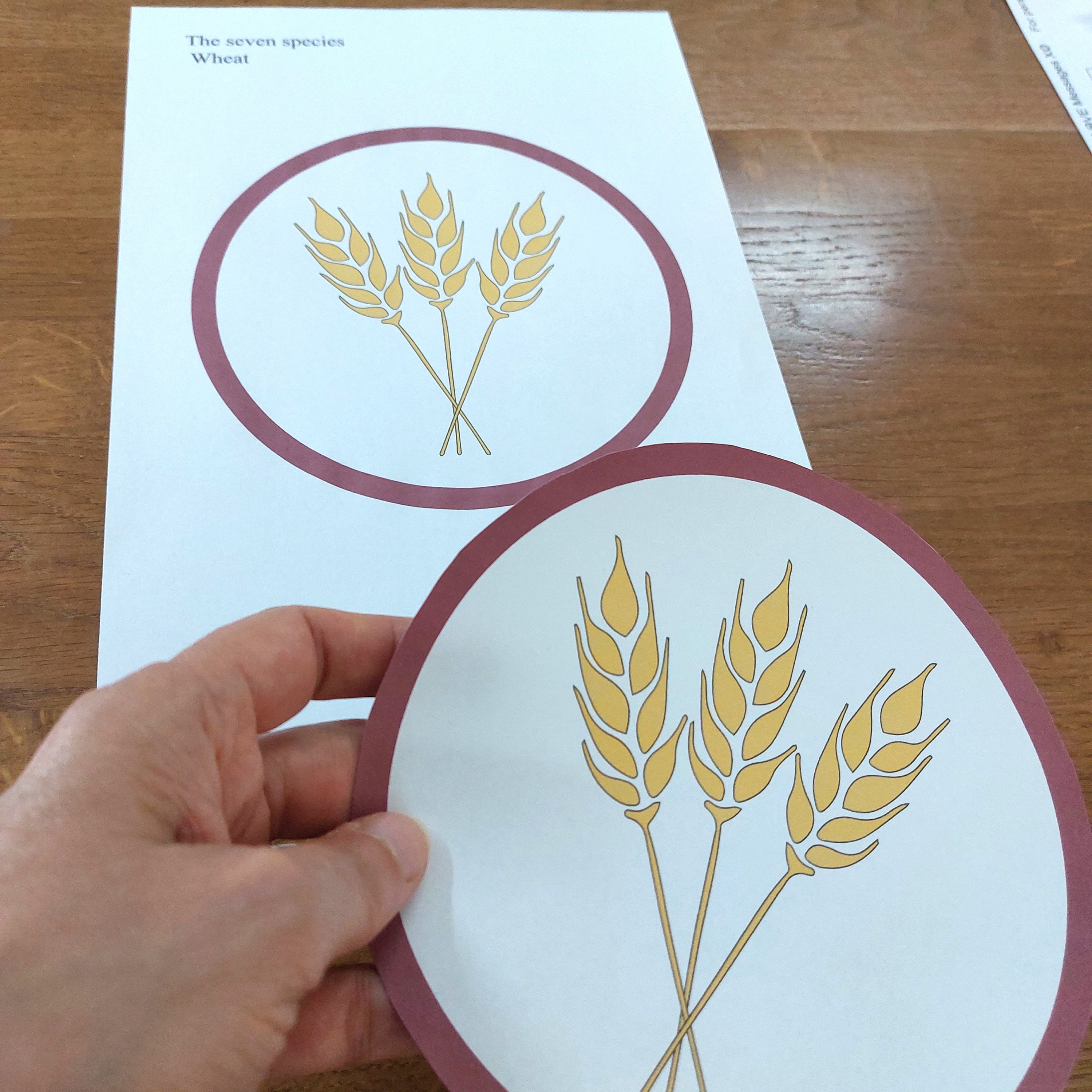 Printable Seven Species of Israel Shivat Haminim Instant - Etsy