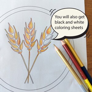Printable Seven Species of Israel, Shivat Haminim, Instant Download ...