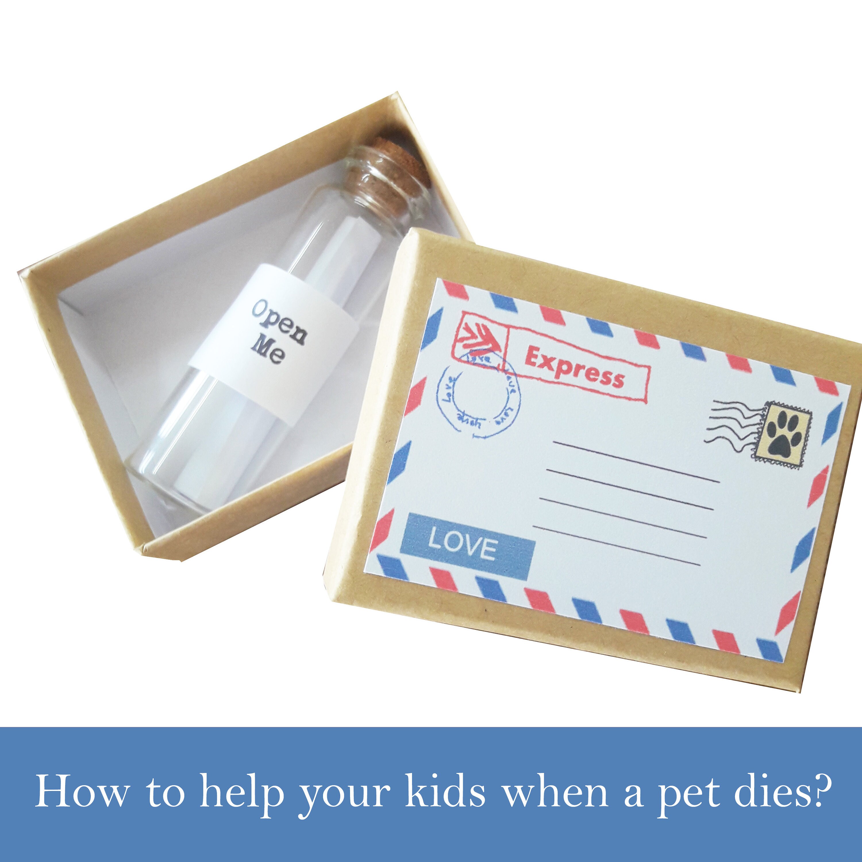 Pet Memorial Message From Your Pet Loss of Pet Sympathy - Etsy